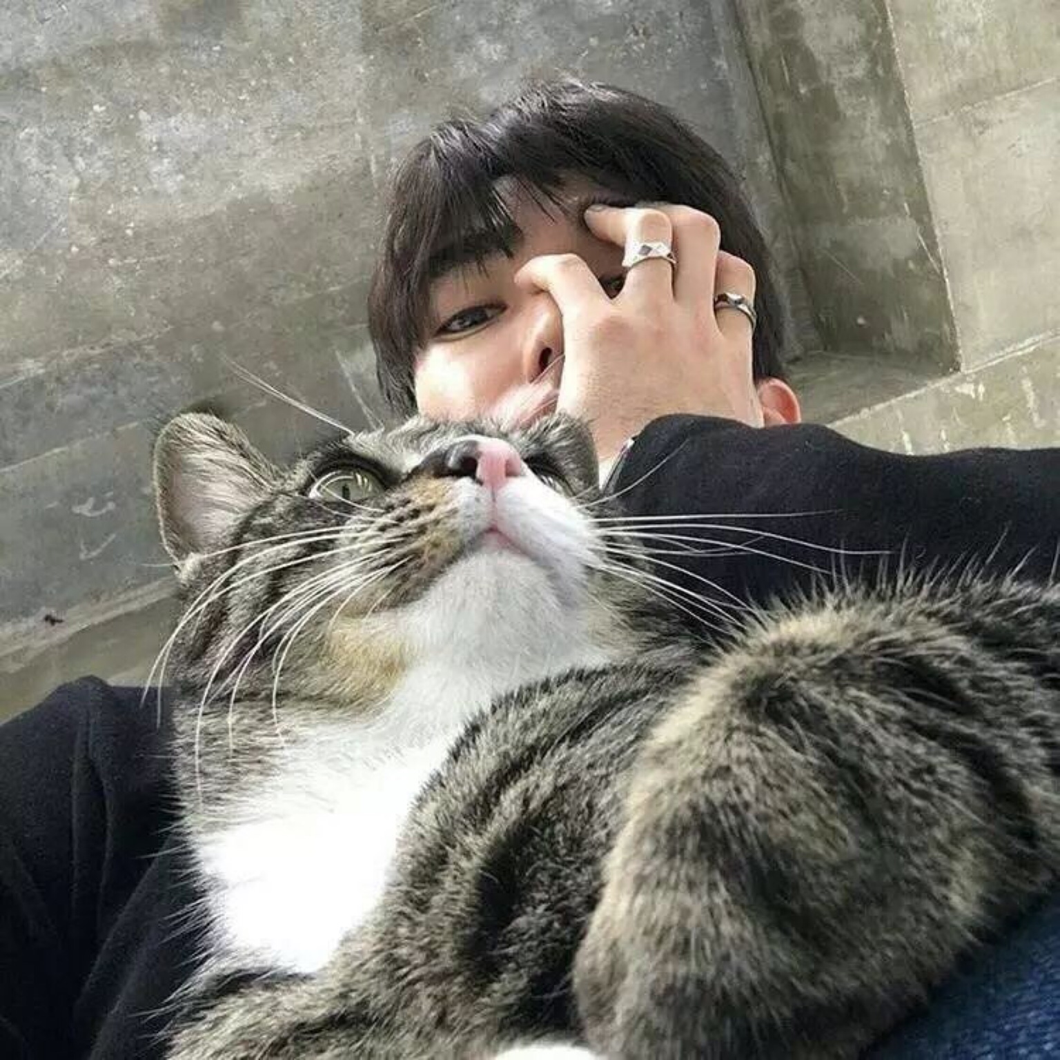 老王不是老王吧 