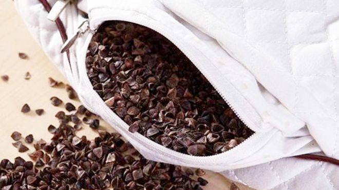 2分钟教你正确清洗荞麦枕头,干净又除螨!