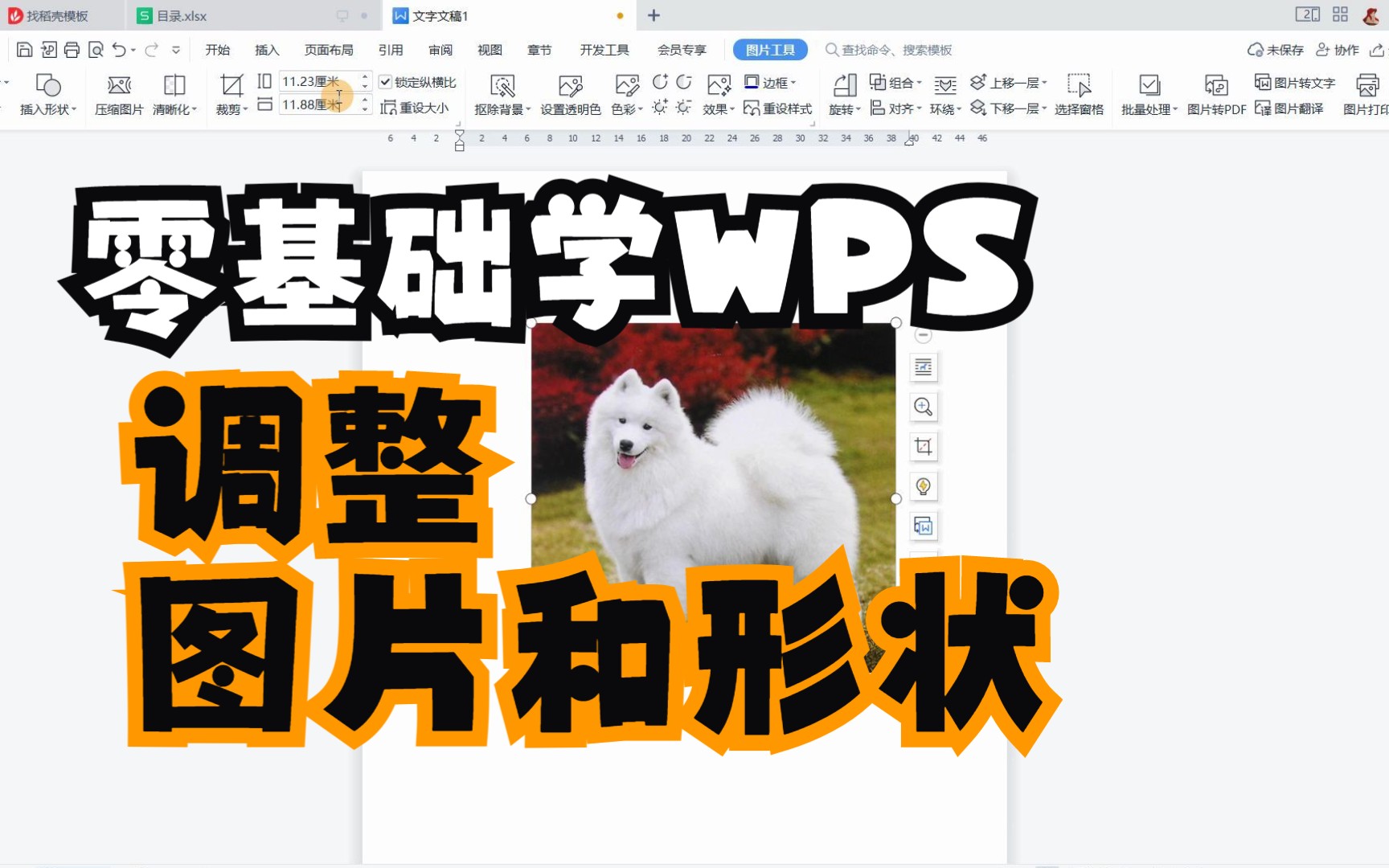 【WPS】5.图片形状工具