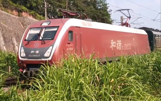 由广铁担当的T128次(东莞东—成都)通过 本务南南1D0537