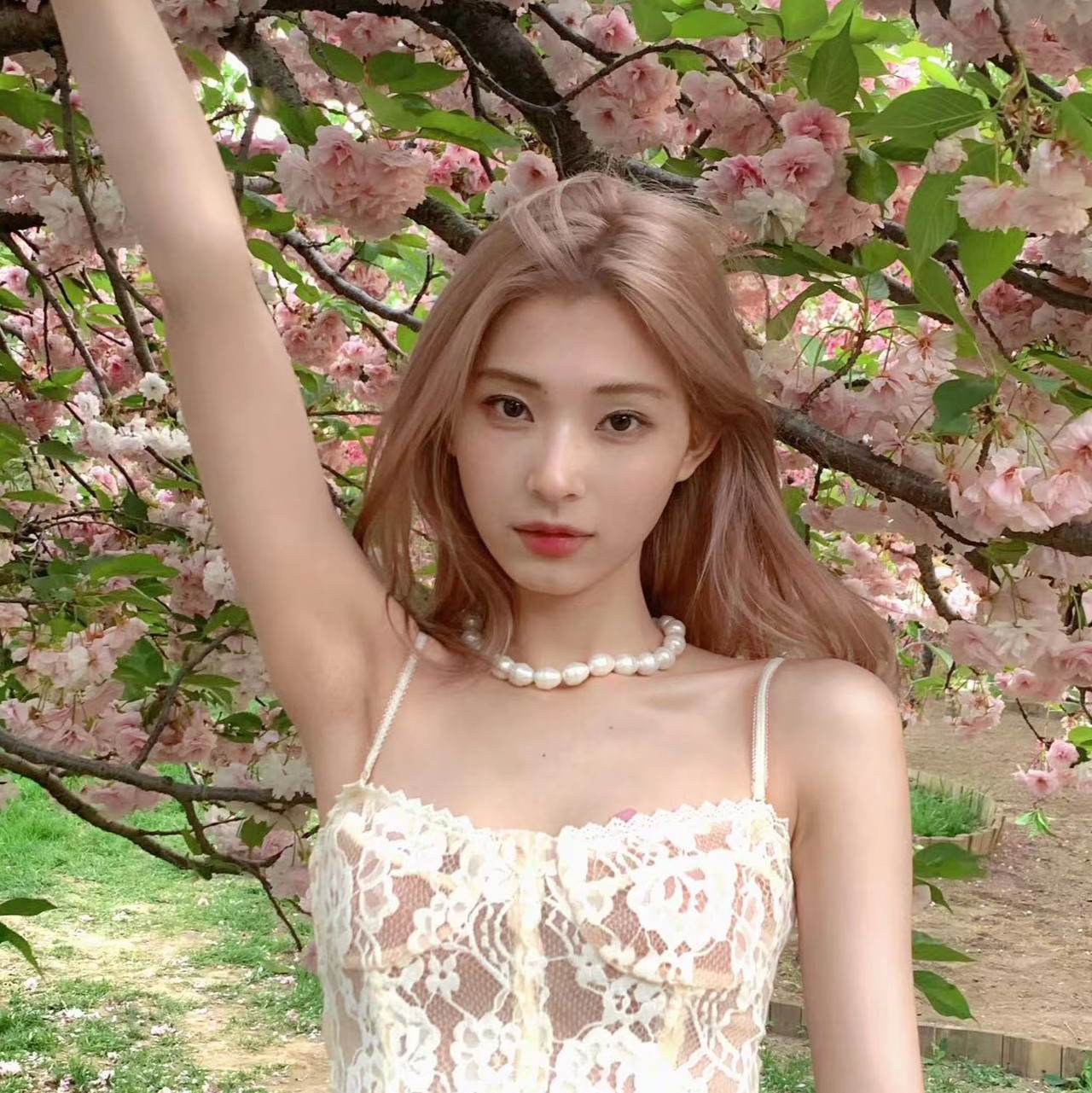 芙芙优选分享 