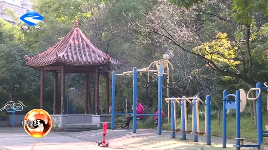 专家支招如何防控蚊子传播疾病