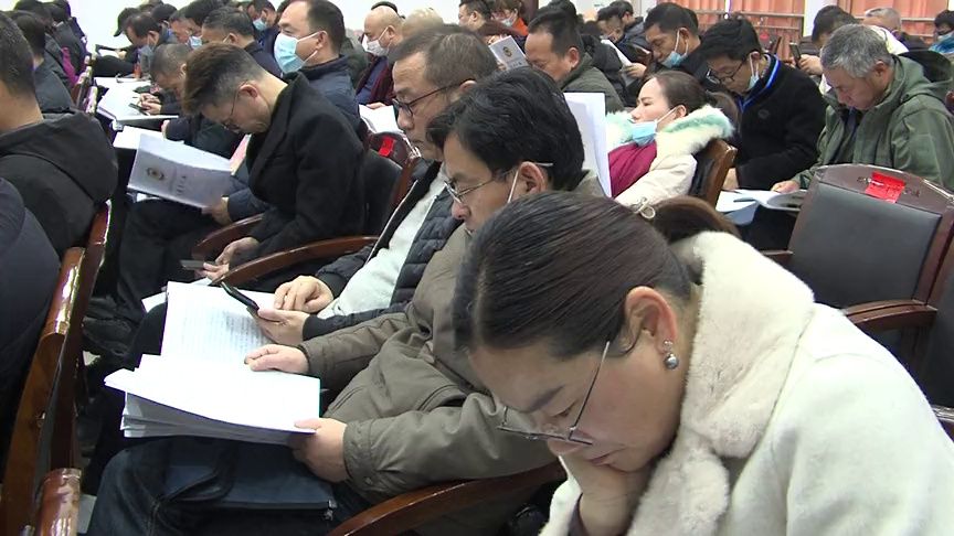 大通湖区第二届政协委员第五次会议胜利闭幕