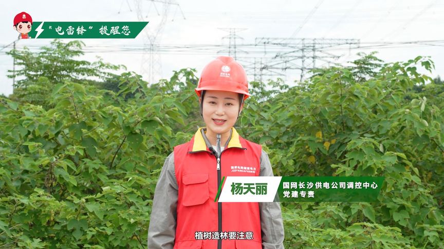 长沙市电力设施保护“百日攻坚”专项行动系列宣传片之植树篇