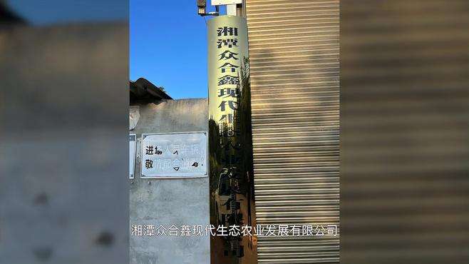 典型案例通报(二)|湘潭市畜禽养殖污染问题突出 群众反映强烈