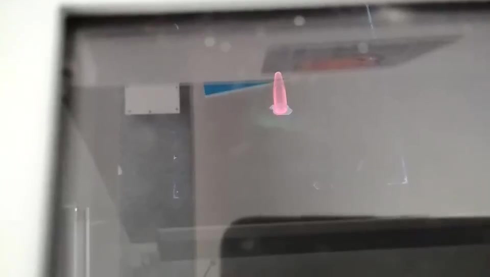 叶绿素的红色荧光