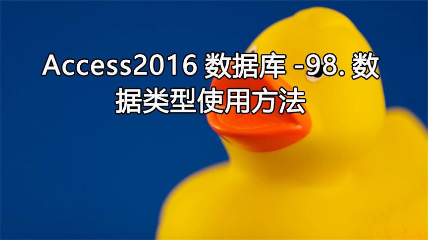 Access2016数据库-98.数据类型使用方法【转载】