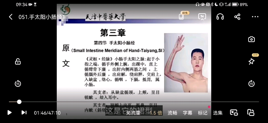 《灵枢•经脉第十》手太阳小肠经循行讲解