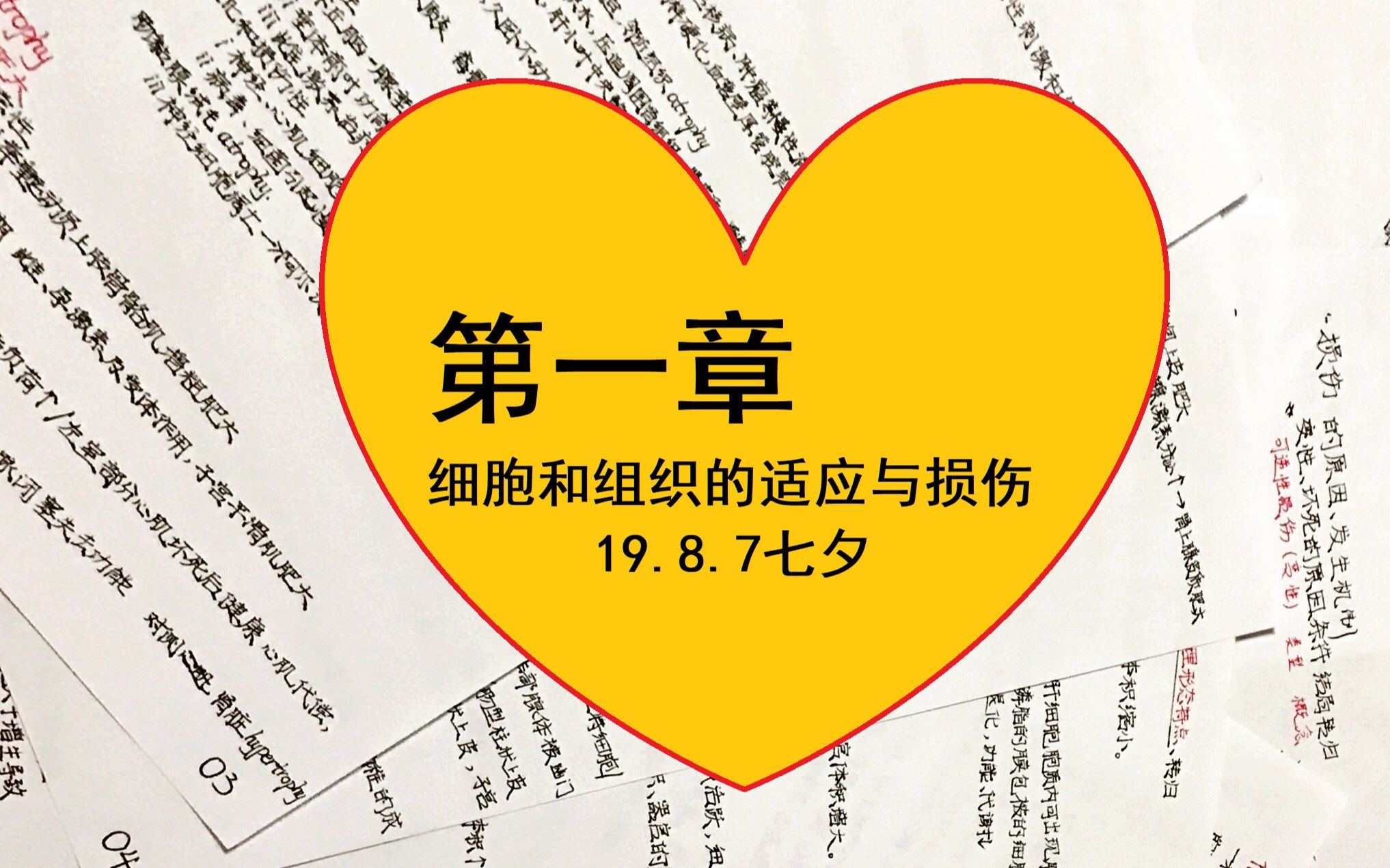 张哲存的病理学笔记 第一章 细胞和组织的适应与损伤(共3p)