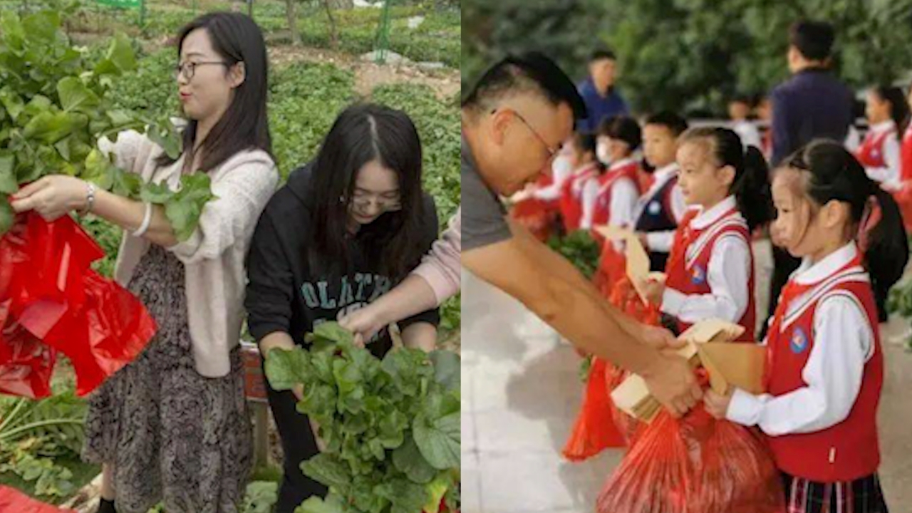 接地气!福建一学校给学生发蒜苗萝卜当奖品,家长:已买好排骨!