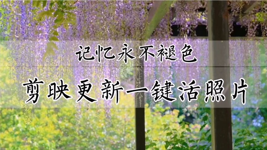 剪映更新活照片,一键让照片上的人物五官动起来,零基础可学