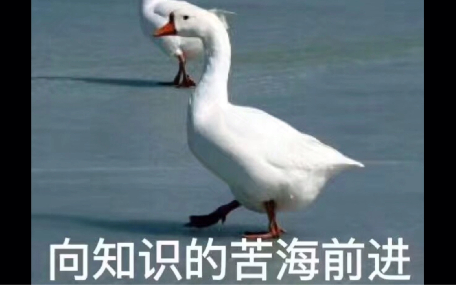 认真上课啦之flash简易字体动画制作教程