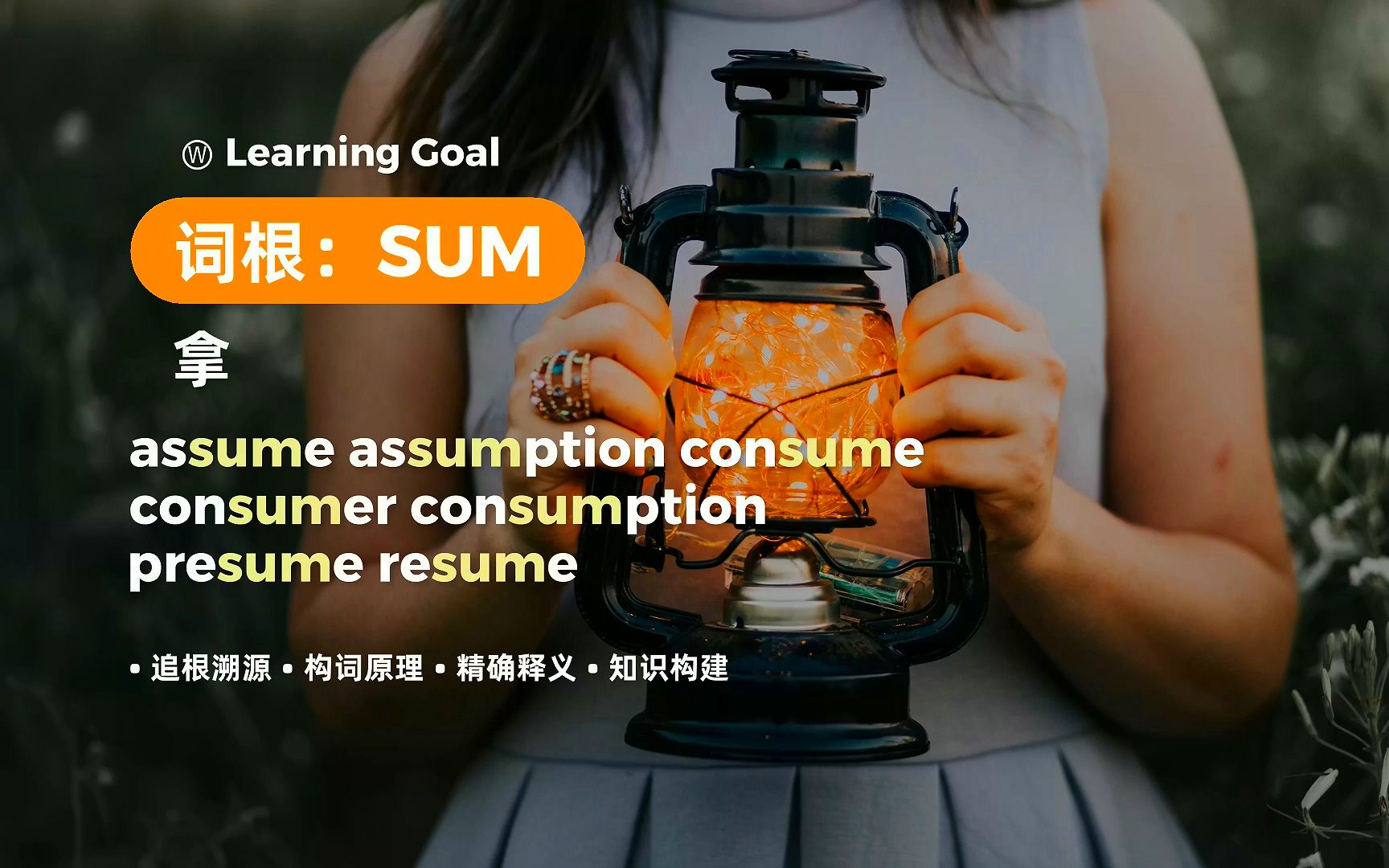 总有一盏灯,照亮你回家的路:词根SUM(意思:拿)的秘密