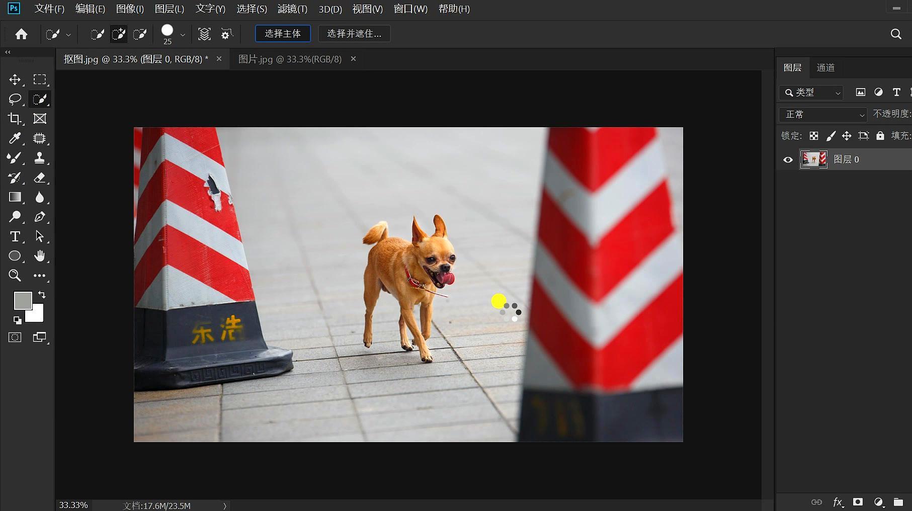 ps教程:用2019版本的新功能,一秒抠取图片上的狗狗!