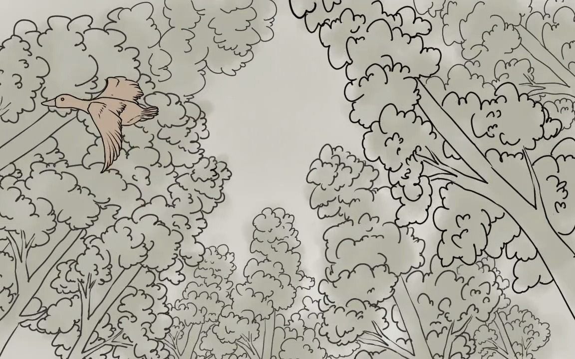 毕设-公益动画短片