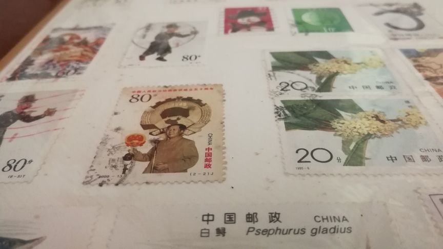 收藏了二十多年的邮票能值多少钱?张张都是无价之宝