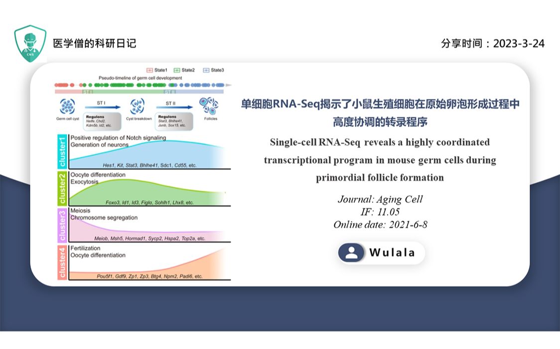 单细胞RNA-Seq揭示了小鼠生殖细胞在原始卵泡形成过程中高度协调的...