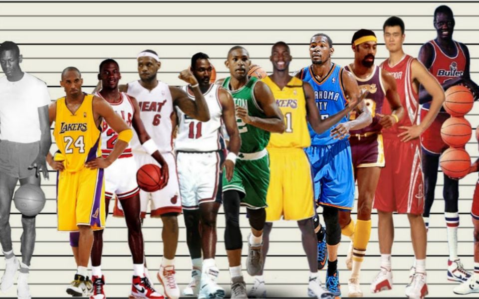 史上最全的NBA知名球员身高数据库,姚明能排第几?