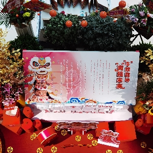 启睿星成长记录 