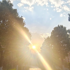 梦回阑珊不识初 