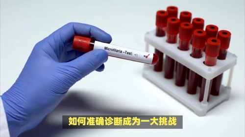 皮内注射与血液IgE检测:如何为狗狗选择最佳过敏测试方法?