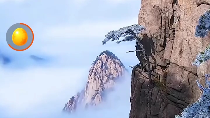 最美仙境,学校搬过来就好了