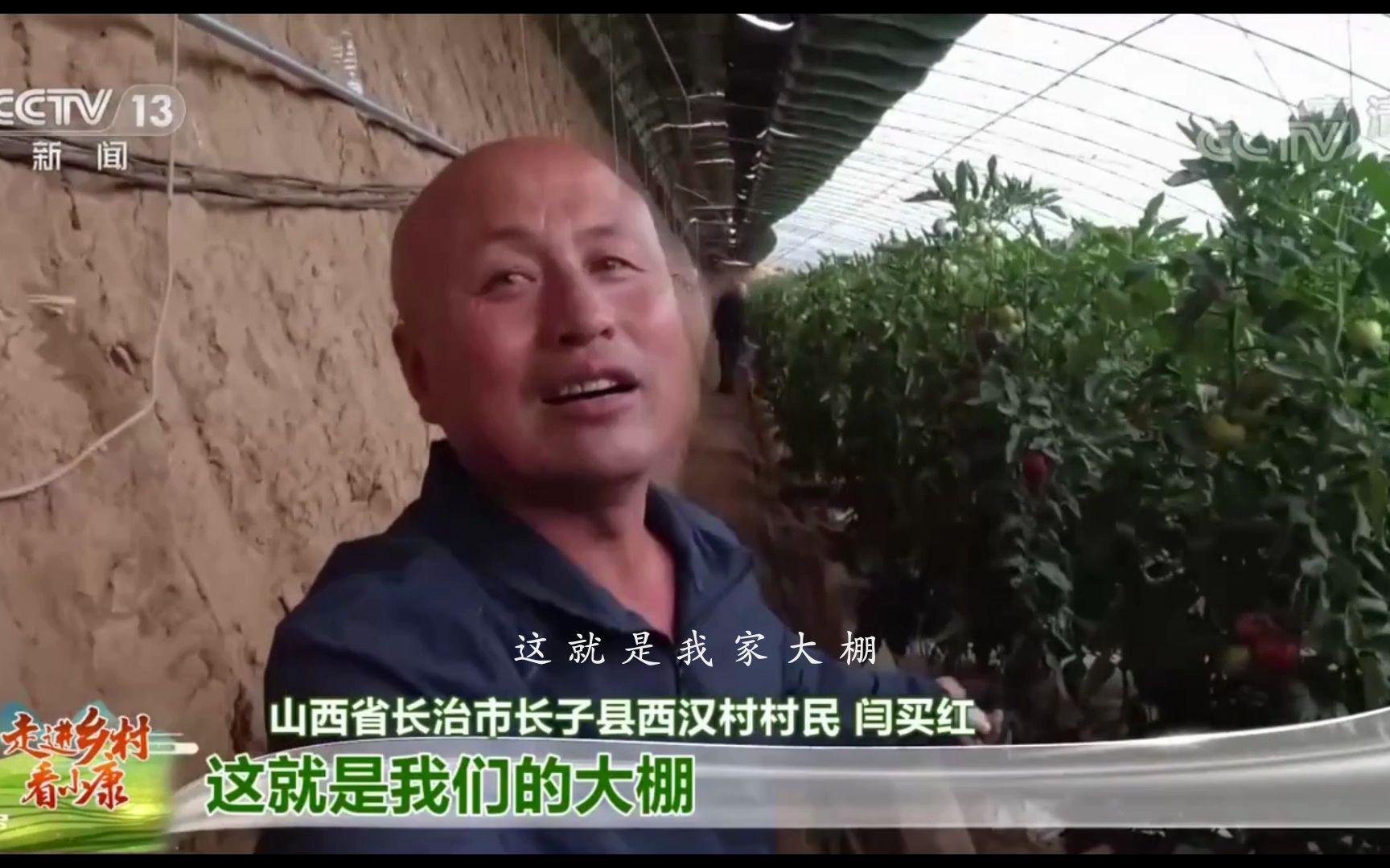 种养结合:大棚里的循环农业