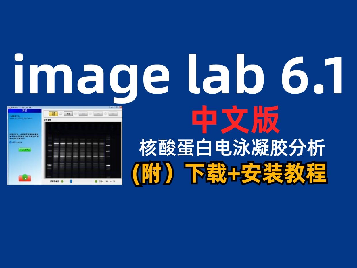 image lab 6.1中文版【核酸蛋白电泳凝胶分析】安装教程