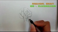 微课大赛一等奖作品