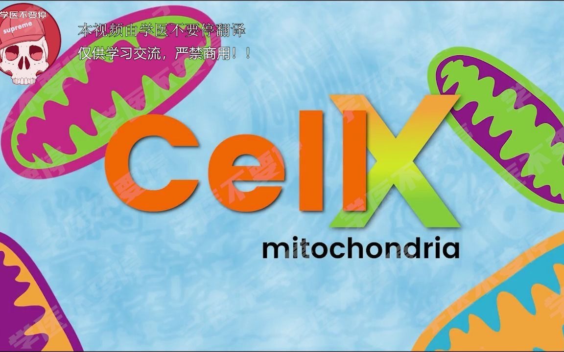 【哈佛大学】 | 细胞生物学:线粒体(1.1)