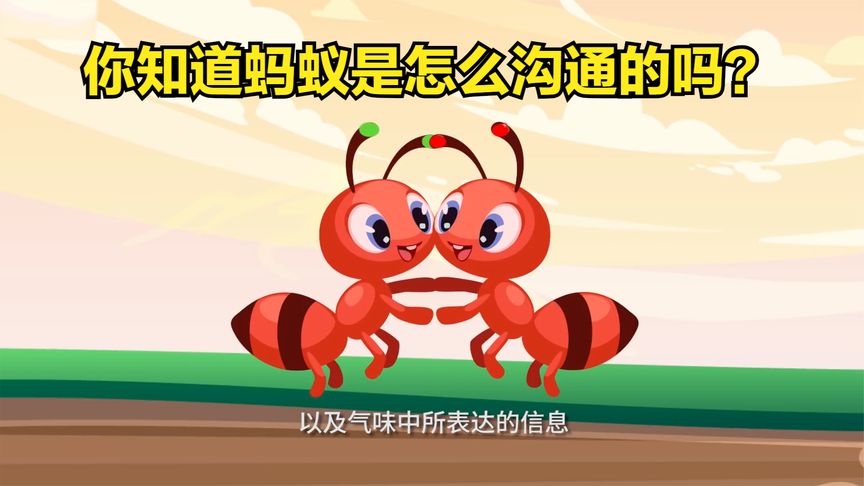 你知道蚂蚁是怎么沟通的吗?