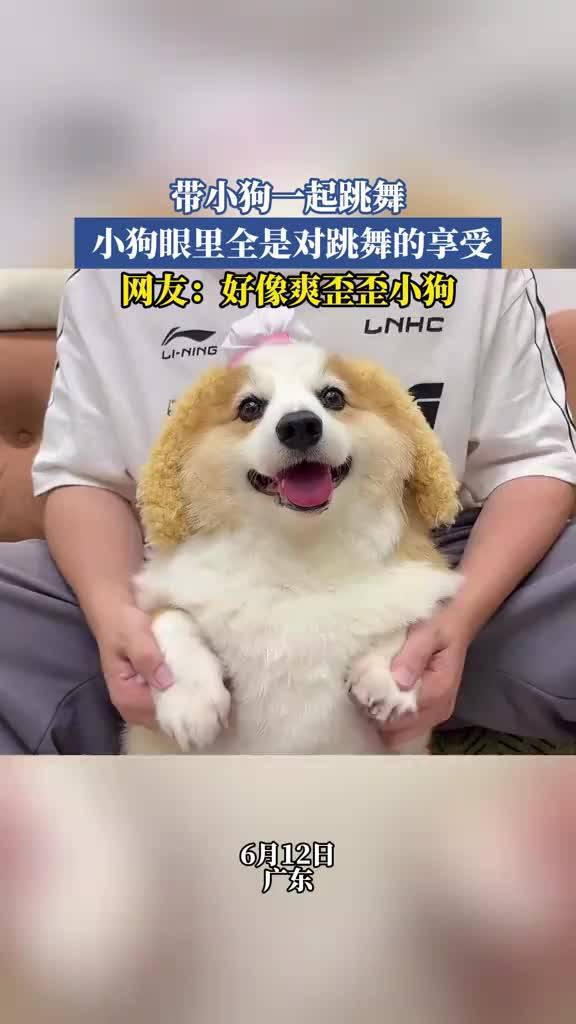 带小狗一起跳舞,小狗眼里全是对跳舞的享受
