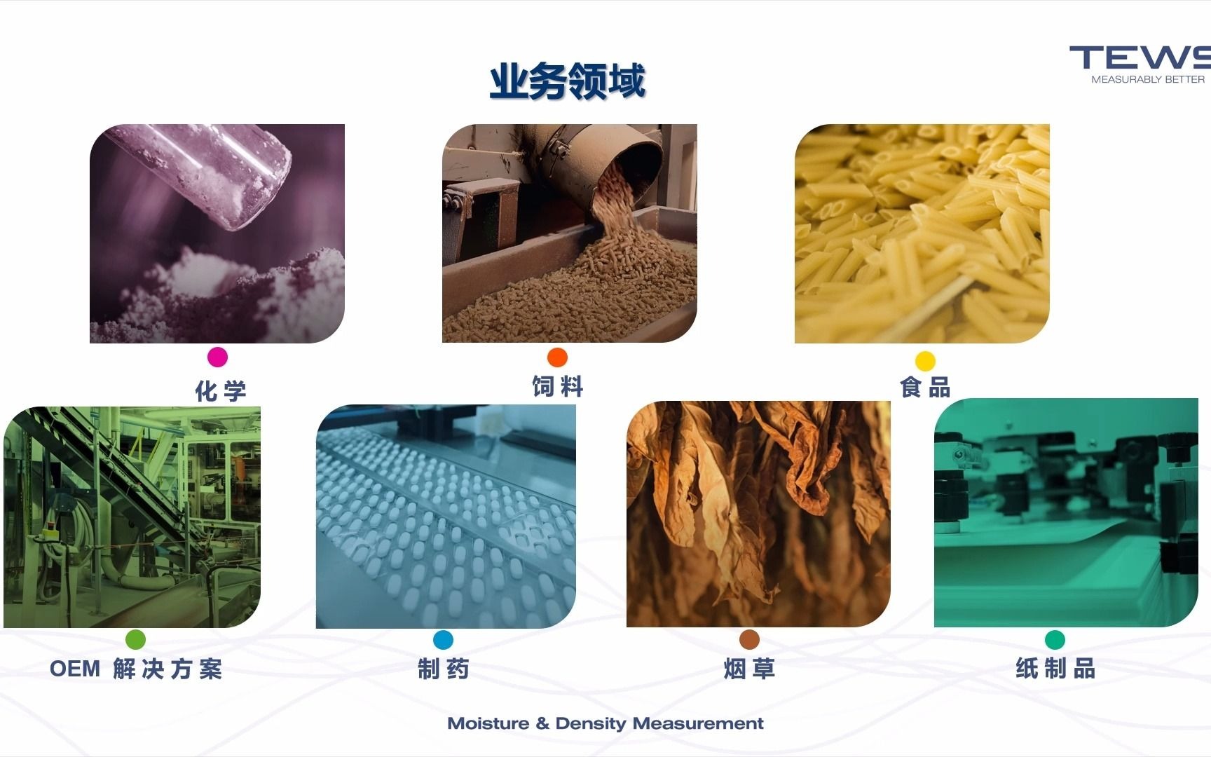 德国在线微波水分密度测量TEWS公司简介