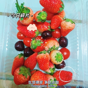 胡沪互户虎呼 