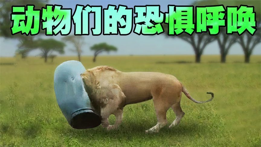 希望人类不要再做伤害动物的事!