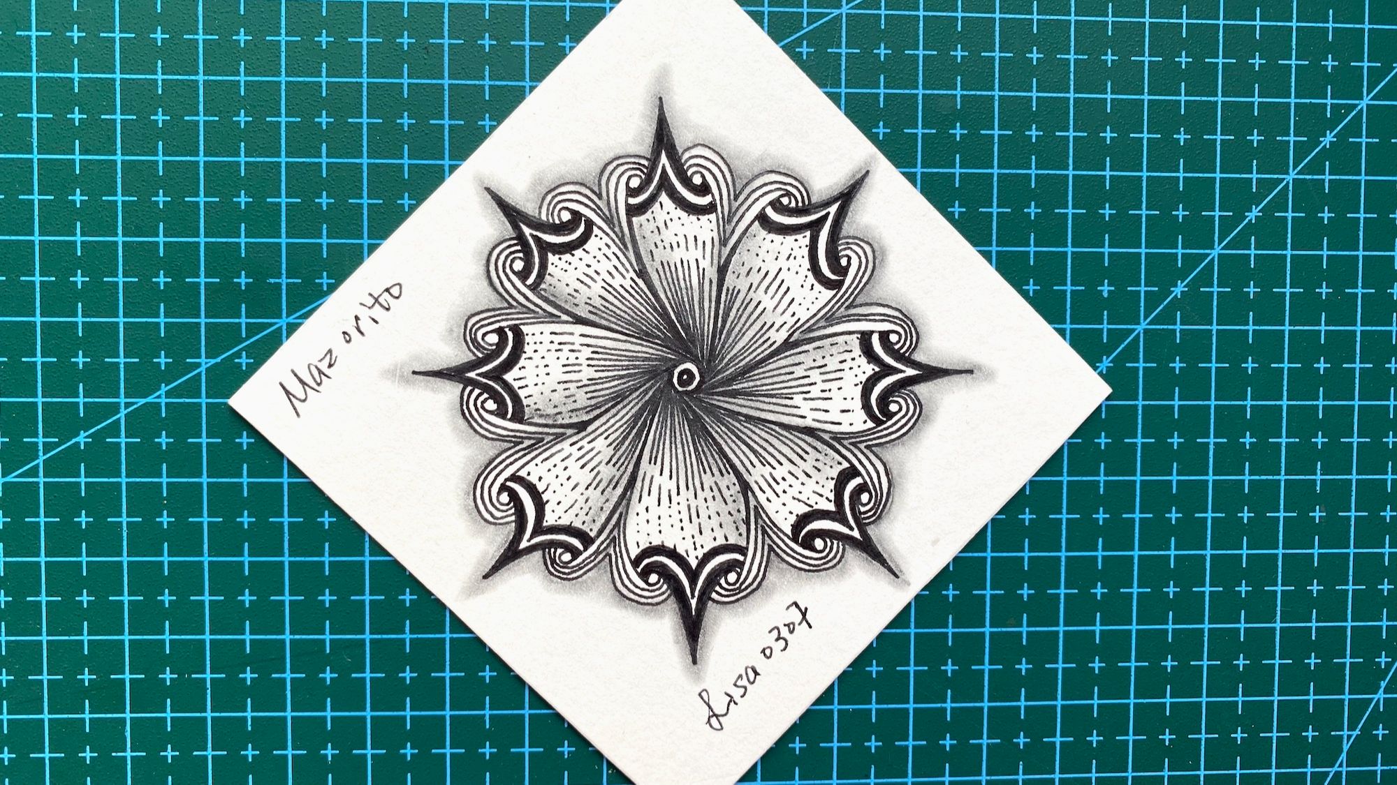 「禅绕画」画法讲解|画法很简单,谁练谁受益