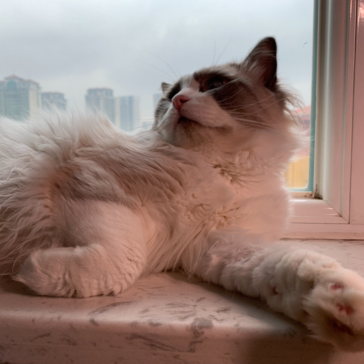 比冰箱还高的孩子 