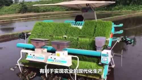 水稻插秧机是什么 水稻插秧机使用注意事项有哪些?