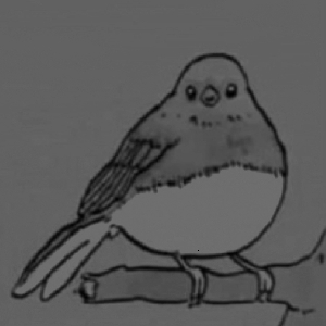 暮湖风 