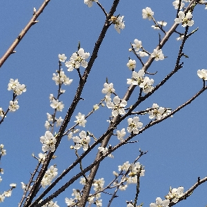 正节语文老师 