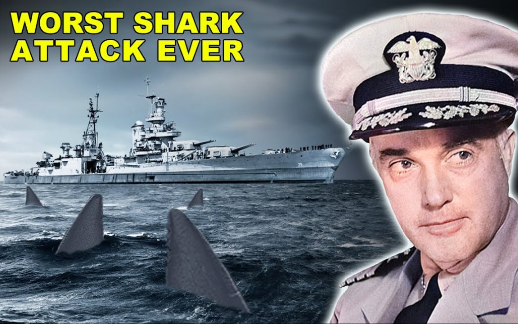 【中字】美国历史上最致命的鲨鱼袭击事件 | 印第安纳波利斯号巡洋舰...