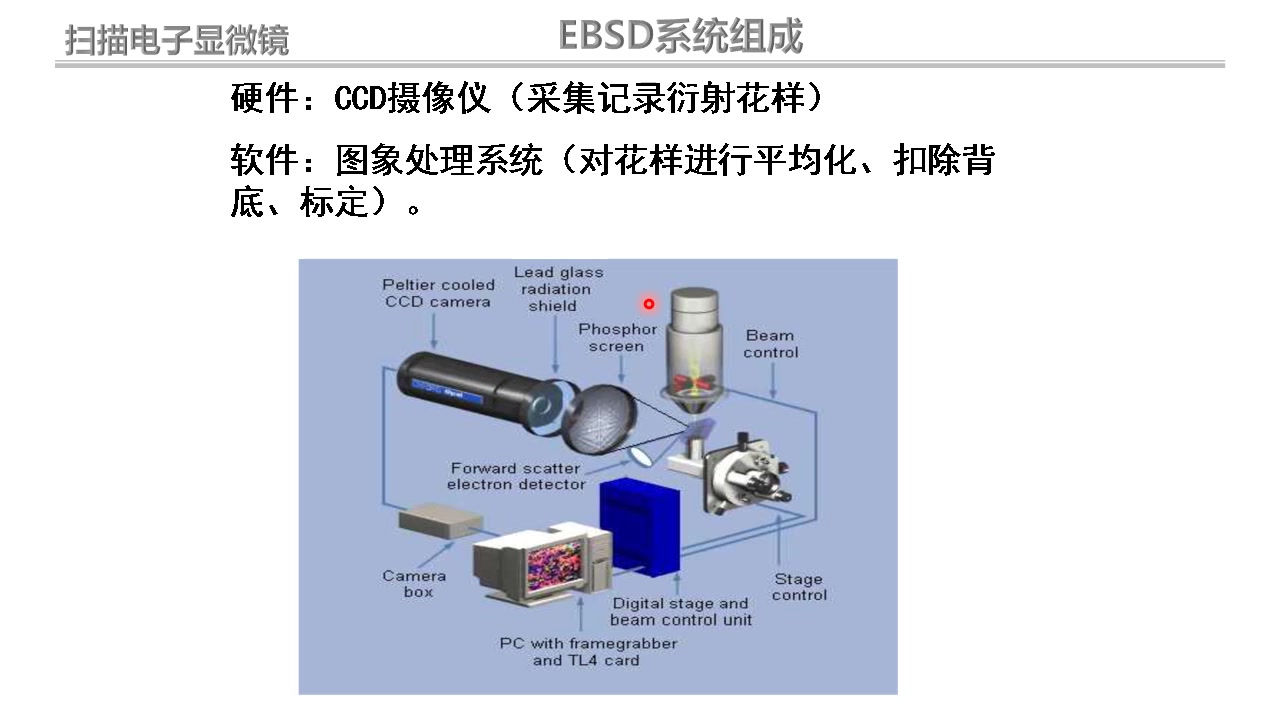 扫描电子显微镜-EBSD