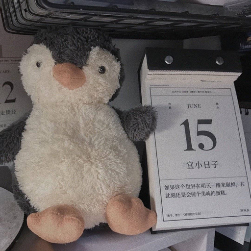 美乐蒂公主nim 