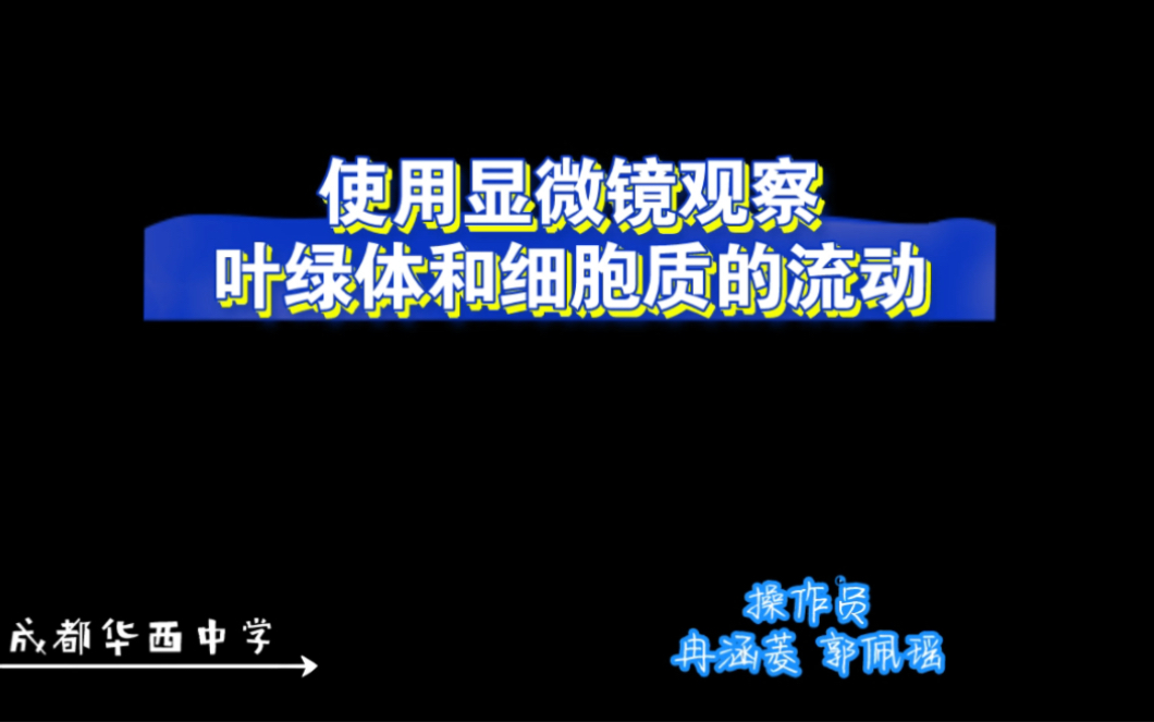 五:高中生物必修一实验 使用显微镜观察叶绿体和细胞质的流动