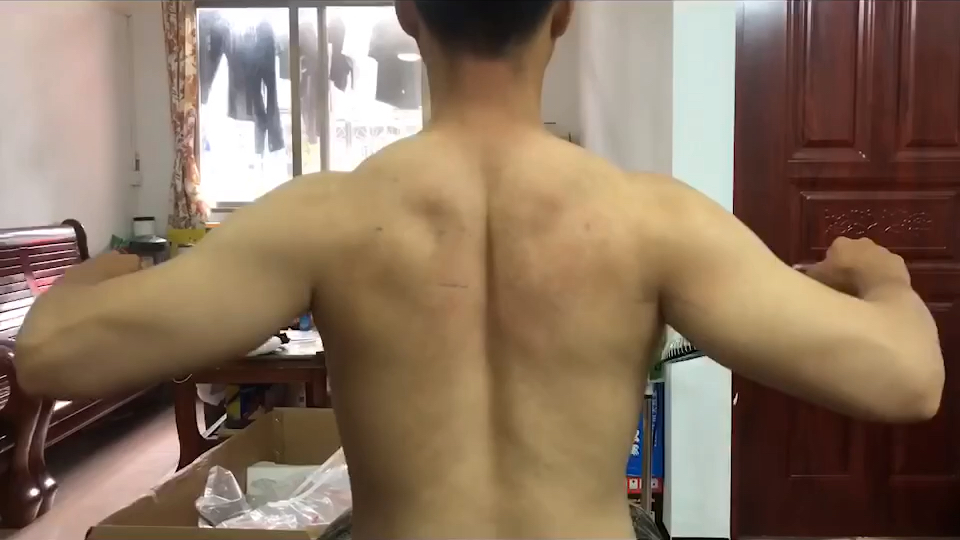 运动康复 肩胛骨稳定调整