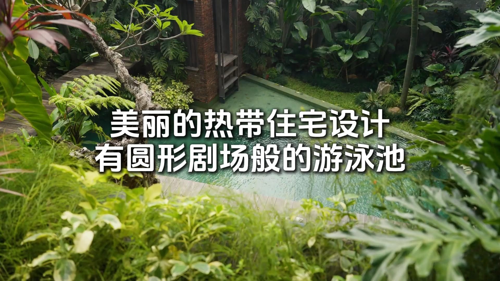 美丽的热带住宅设计有圆形剧场般的游泳池印度尼西亚