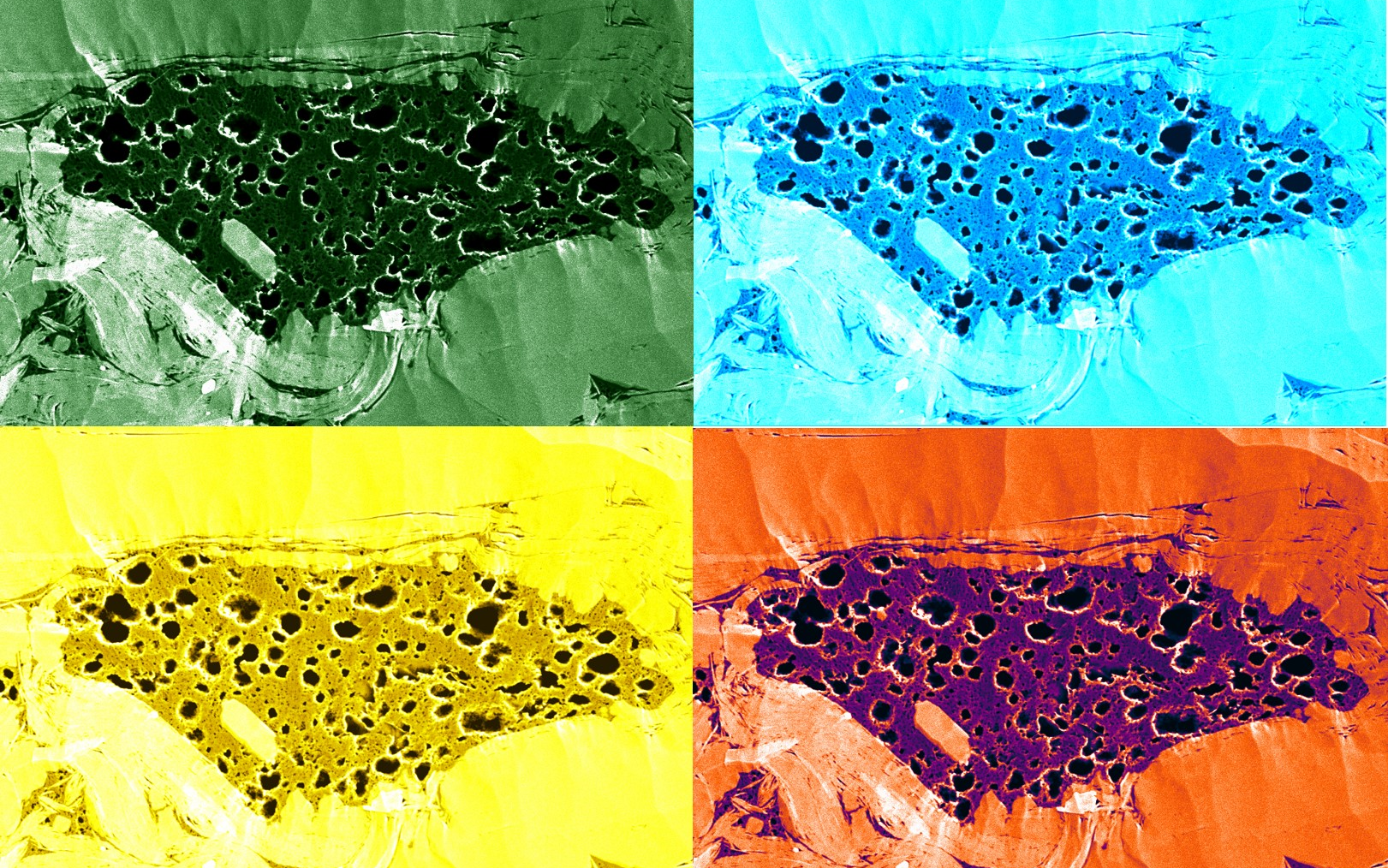 【ImageJ】利用软件定量表征孔隙结构及电镜照片伪彩上色