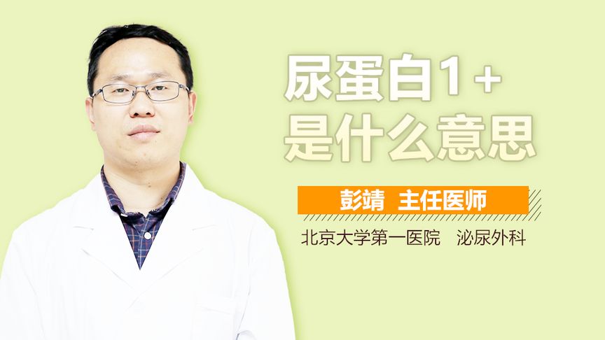 尿蛋白1+是什么意思?