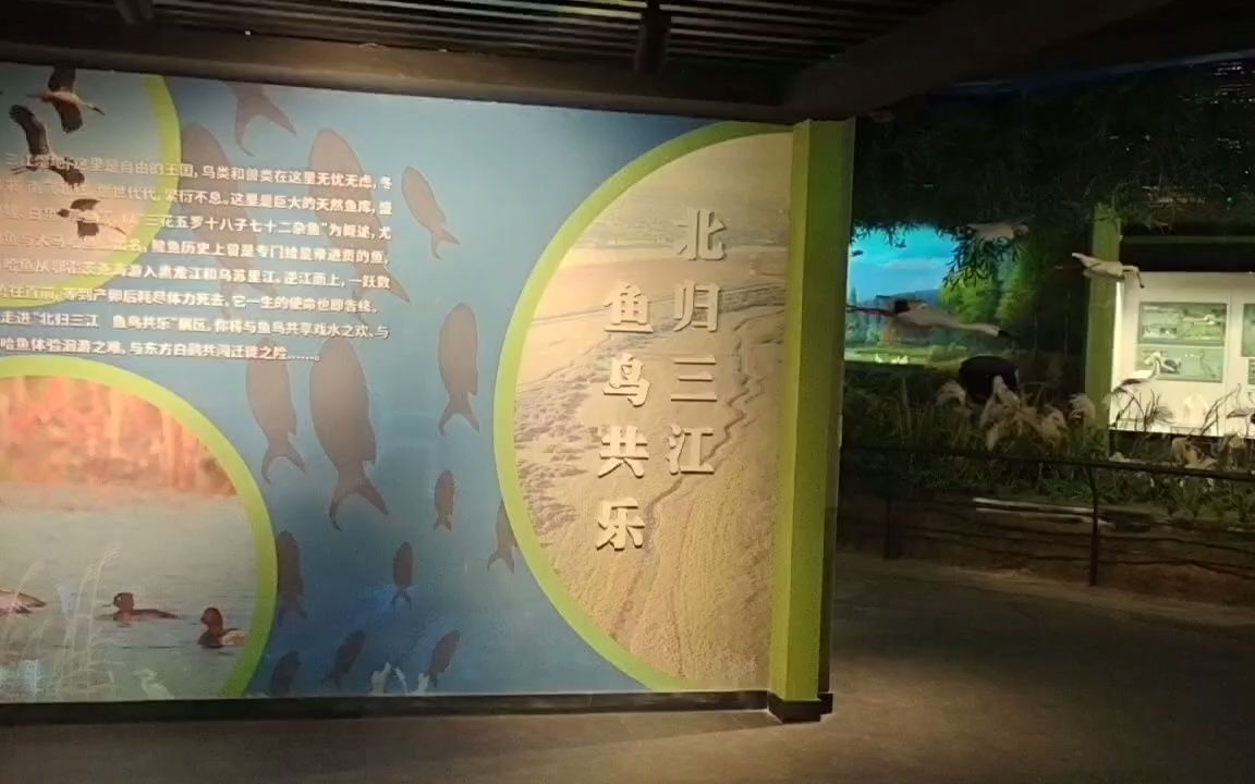 湿地博物馆设计|博物馆设计方案|湿地博物馆场景