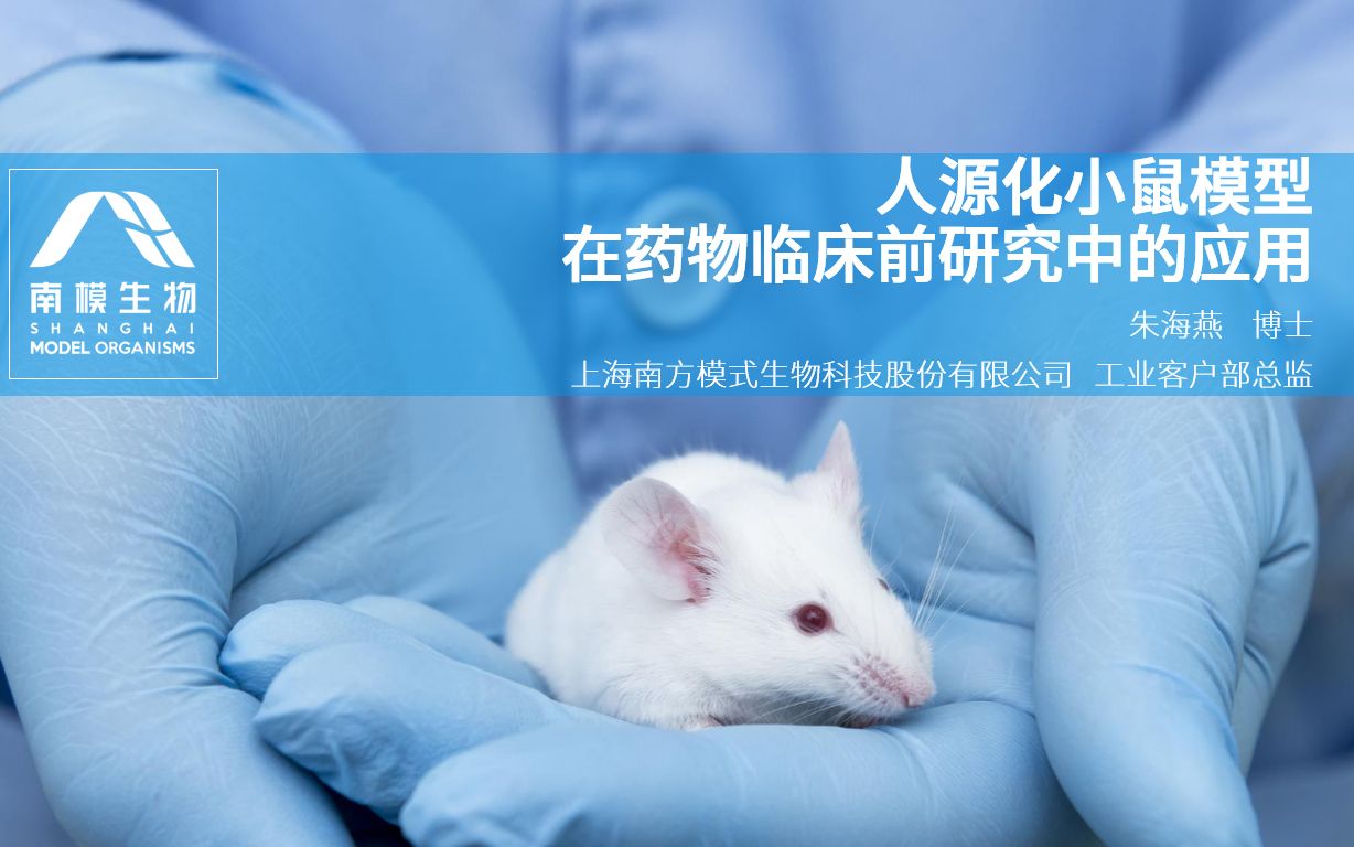 人源化小鼠模型在药物临床前研究中的应用